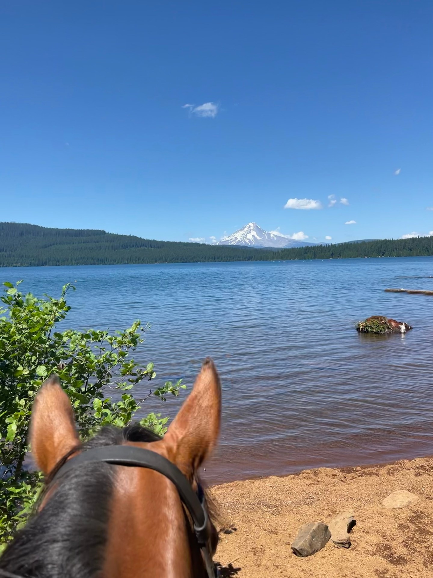 Joe Graham Horse Camp – Mt Hood National Forest, Oregon – Moquistang ...