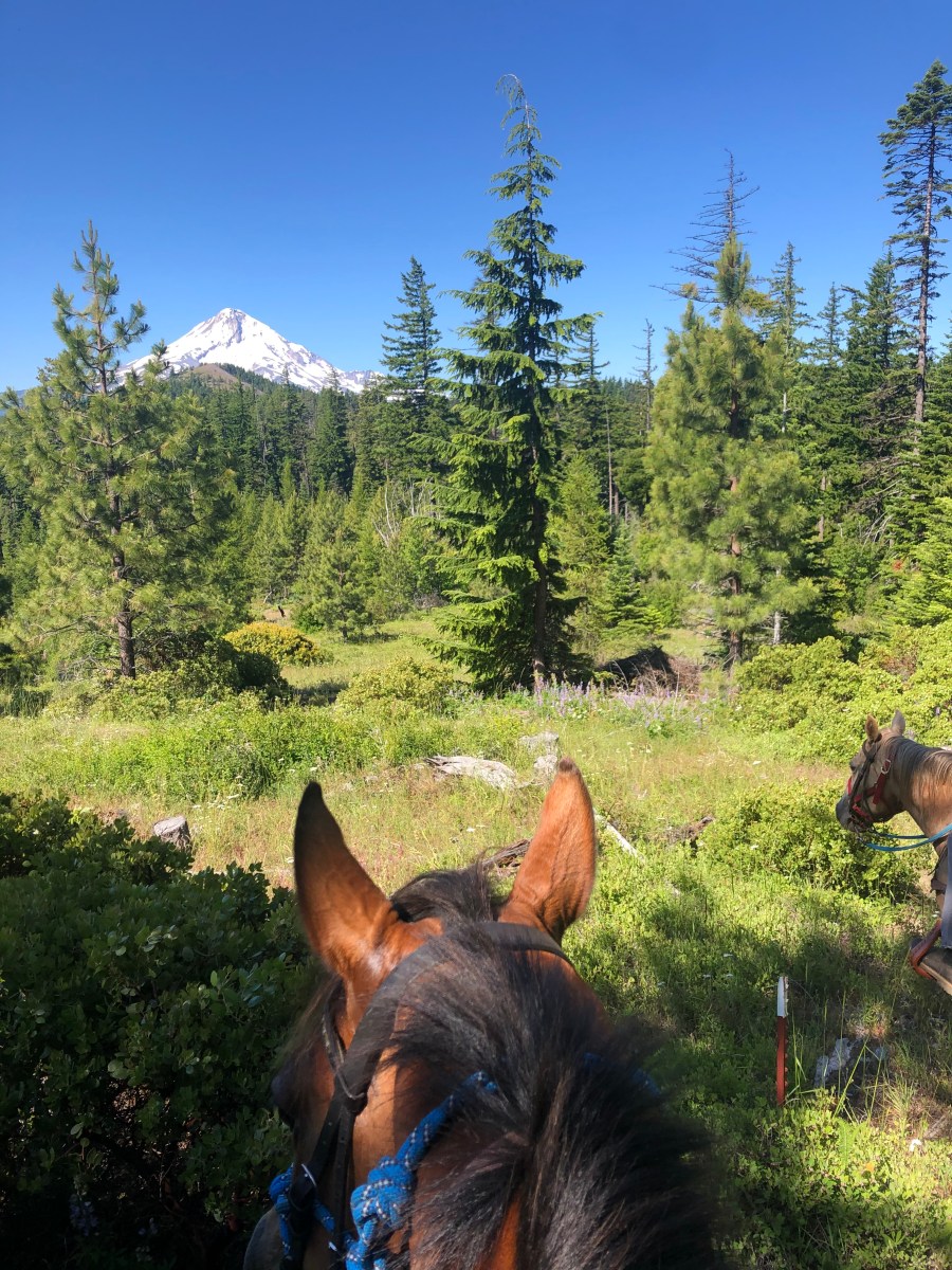 Horse Trails in the North Oregon Cascades – Moquistang; one little ...