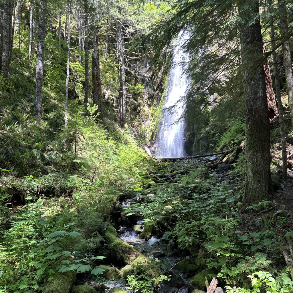 5 Waterfall Trails Open to horses – Moquistang; one little mustang who ...