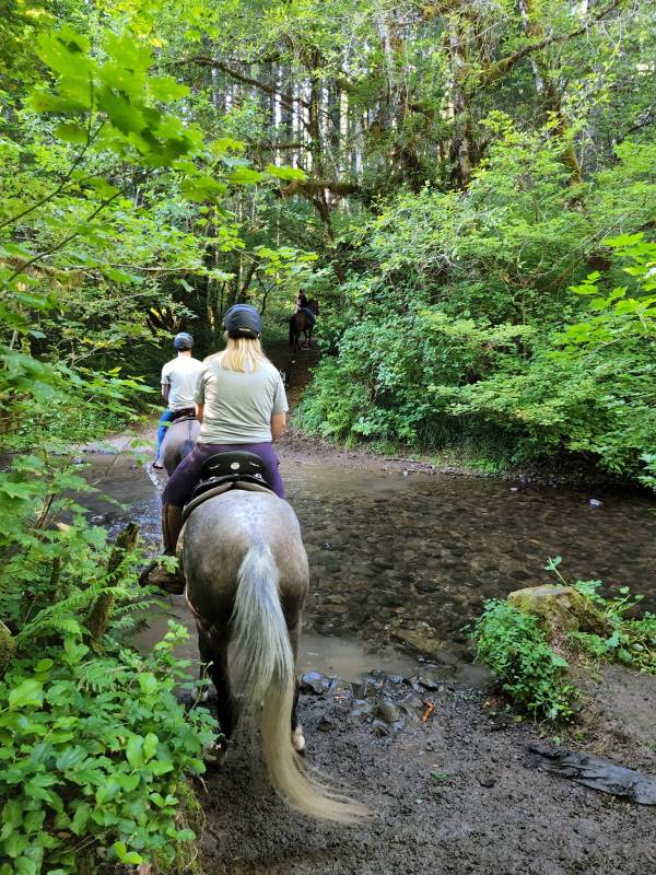 Howard Creek Horse Camp – Silver Falls State Park, Oregon – Moquistang ...