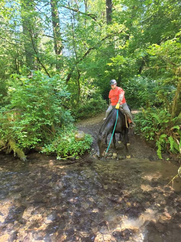 Howard Creek Horse Camp – Silver Falls State Park, Oregon – Moquistang ...