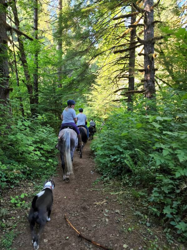 Howard Creek Horse Camp – Silver Falls State Park, Oregon – Moquistang ...