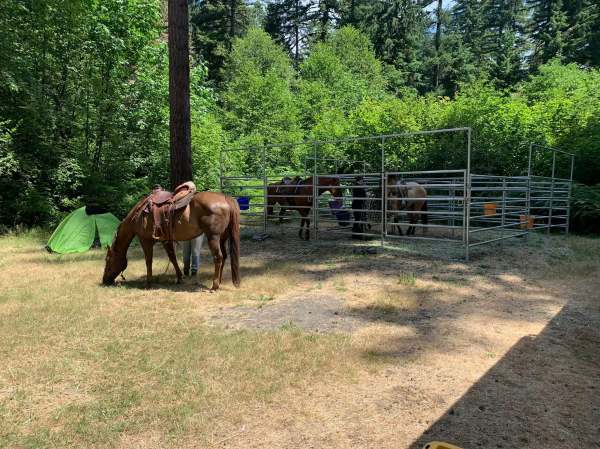 Howard Creek Horse Camp – Silver Falls State Park, Oregon – Moquistang ...